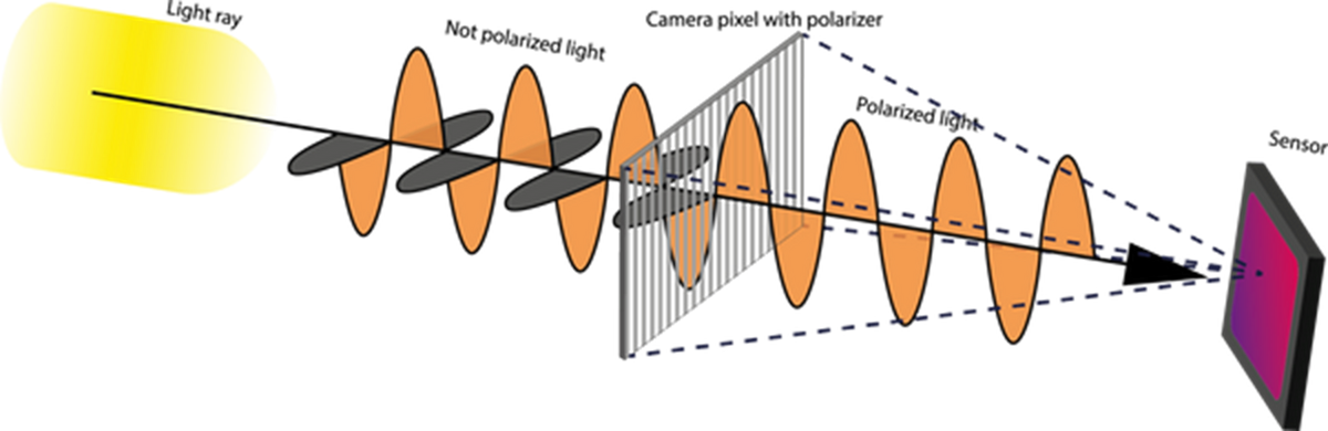 Industrial polarization camera whitepaper